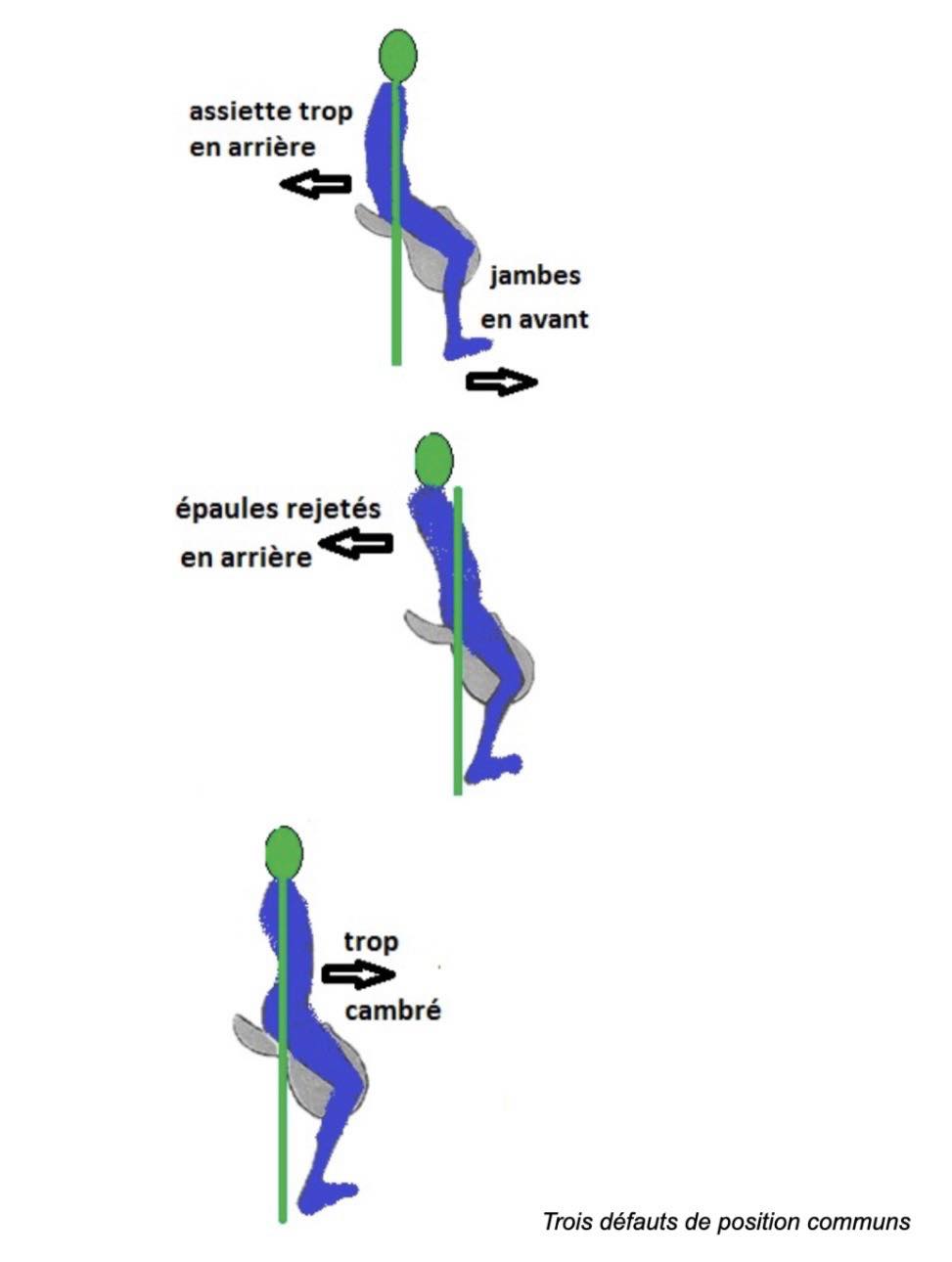 Attitude et fonctionnement du cavalier sur le plat | Selle & Sale